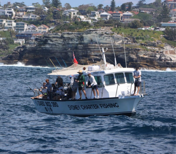 Sydney Charter Fishing - Deep Sea, Reef, Harbour & Game Fishing