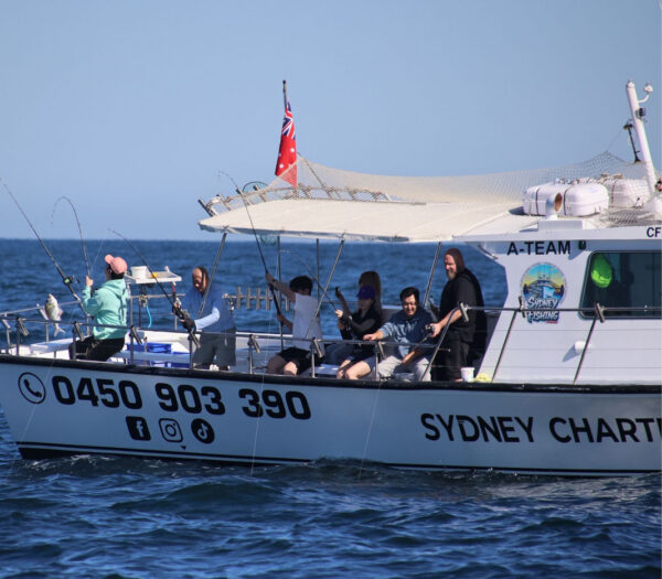 Sydney Charter Fishing - Deep Sea, Reef, Harbour & Game Fishing